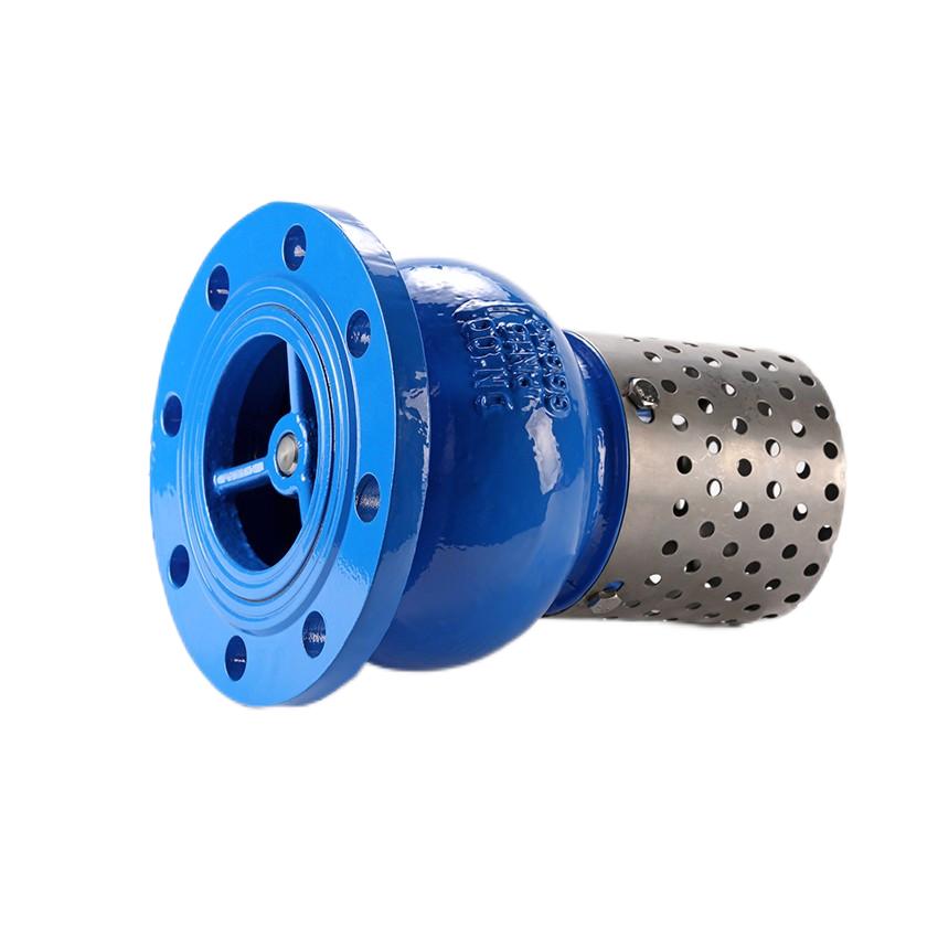 Ansi cast iron flanged foot valve with stainless steel screen_Check ...