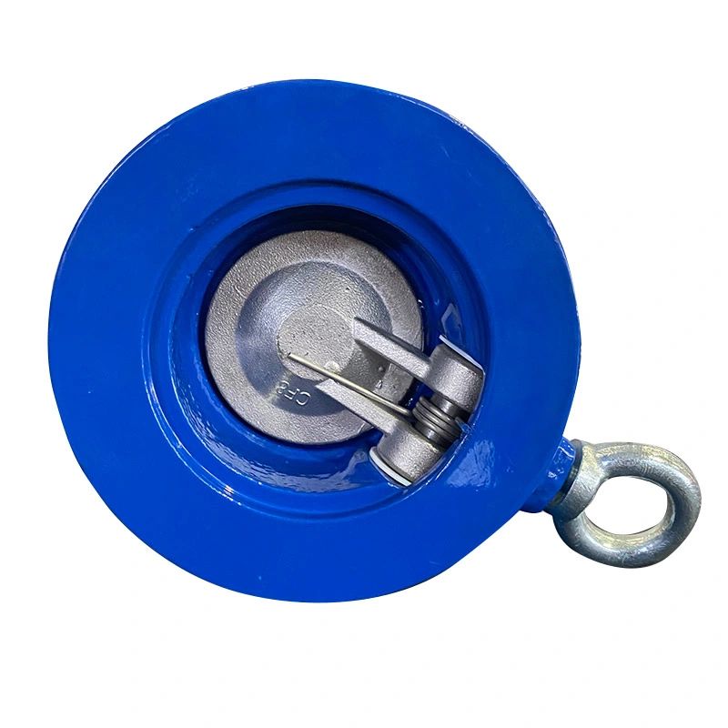 Single Disc Wafer Type Check Valve PN10 PN16_Check valve &Strainer ...