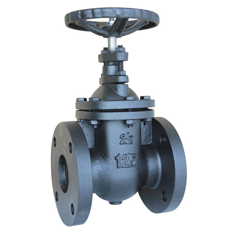 MSS SP-70 Metal-Seal Cast Iron Gate Valve_Gate valve_Valves_Qingdao Fluido Industrial Co.,Ltd